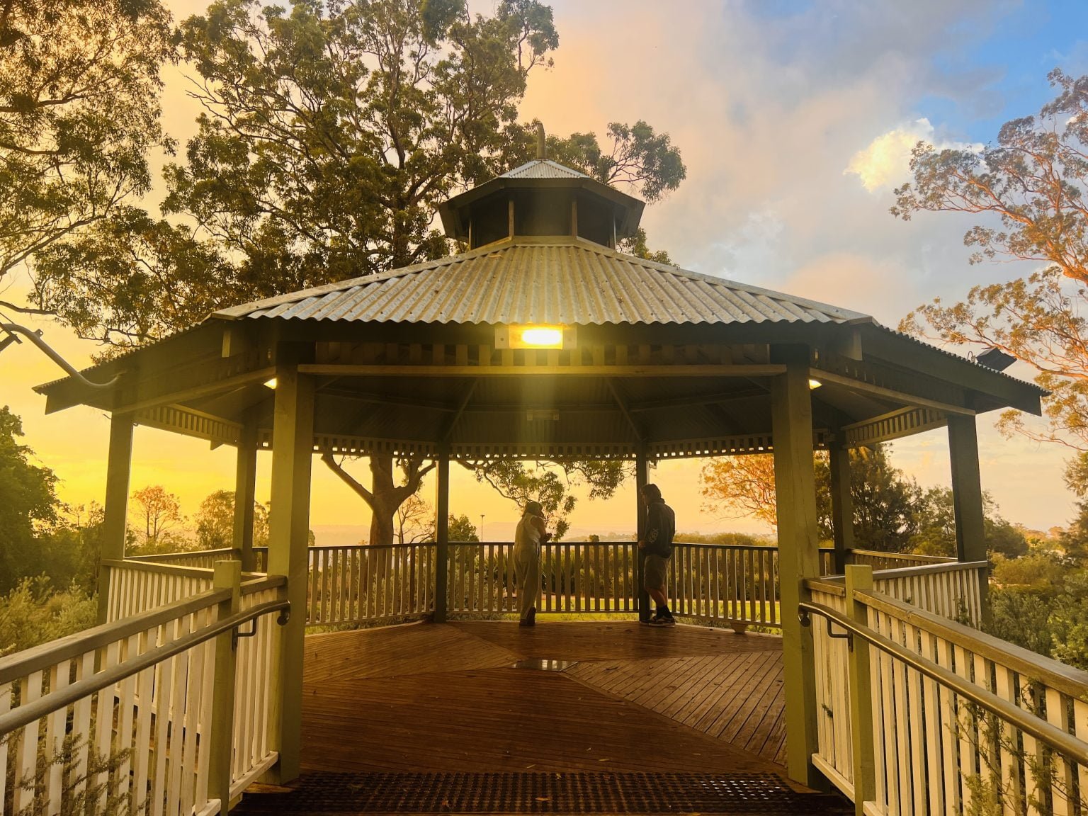 About Friends of Peacehaven Botanic Park